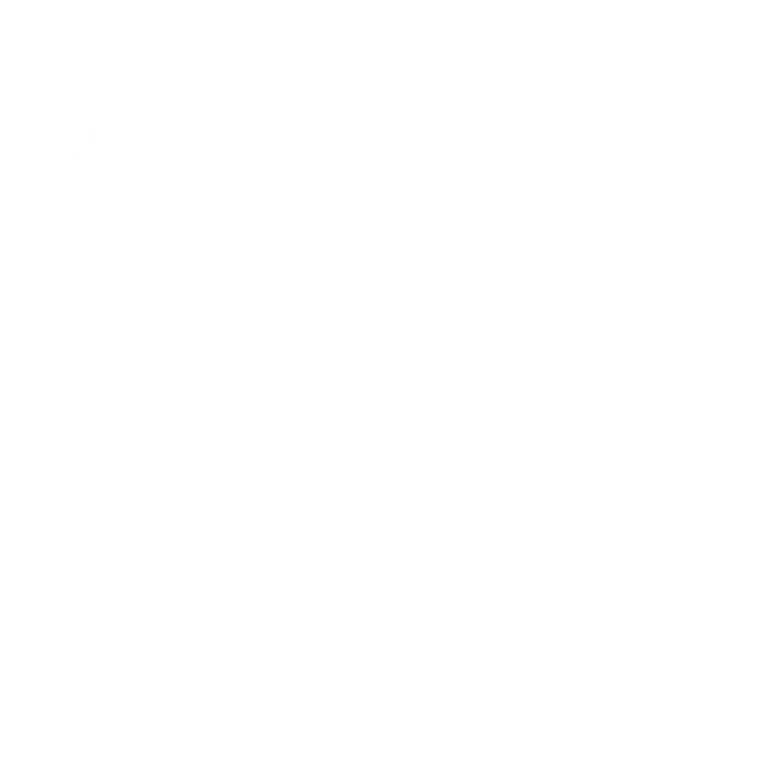 Basso Design Group - Michigan's #1 Web Design Agency